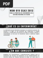Norma Oficial Mexicana Nom-019-Ssa3-2013, para La Práctica de Enfermería en El Sistema Nacional ...