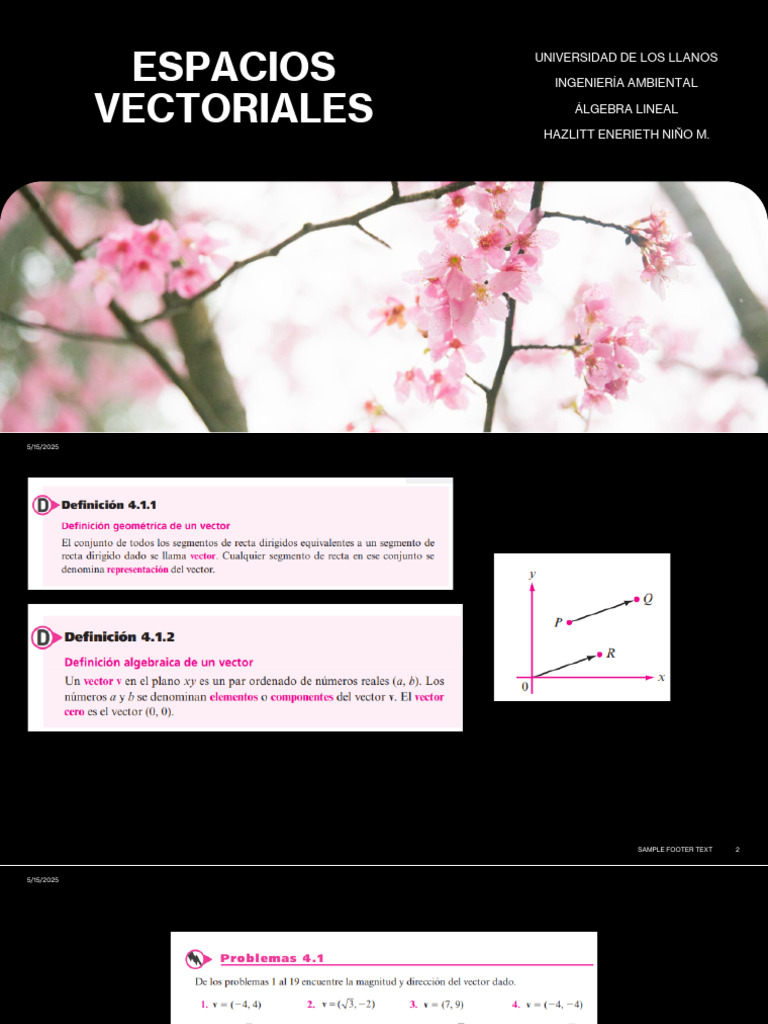 Espacios Vectoriales | PDF