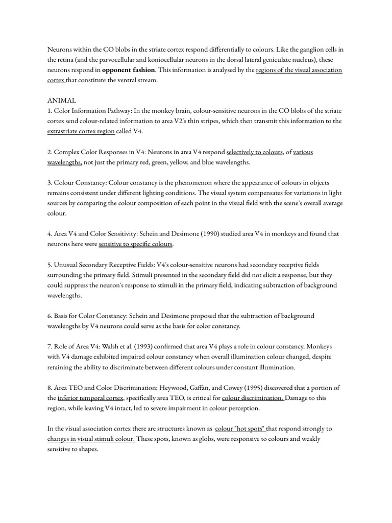 Cog neuro-notes | PDF | Chemical Synapse | Inhibitory Postsynaptic ...