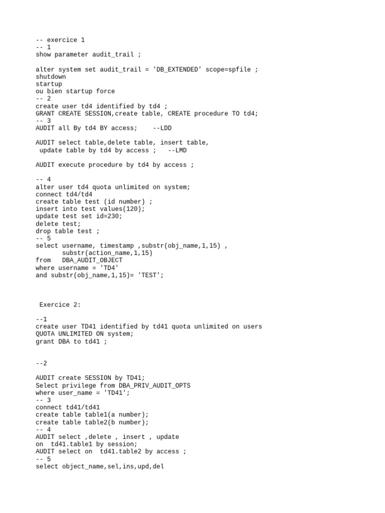 Correction TP Audit | PDF
