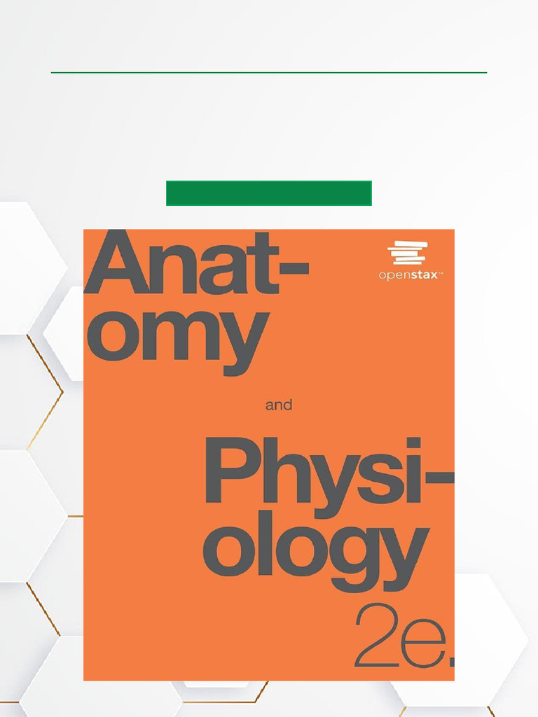 Anatomy and Physiology - 2nd Edition Official Download | PDF