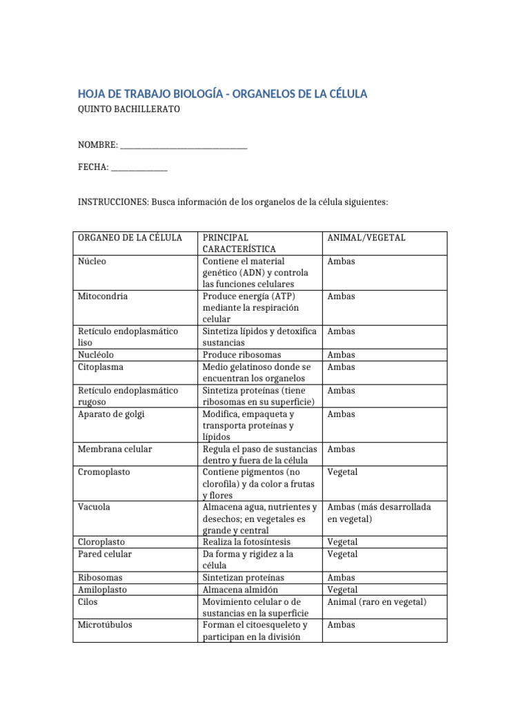 Organelos de La Celula | PDF | Biología Celular) | Plantas