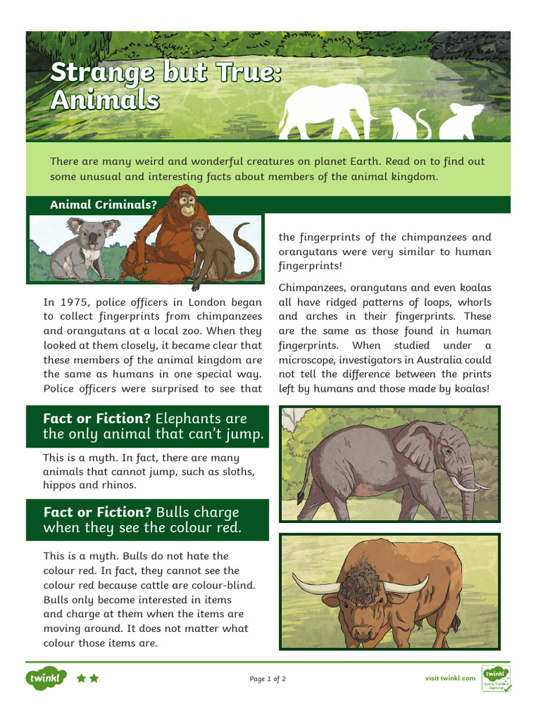 T e 2551871 lks2 Strange But True Animals Differentiated Reading ...