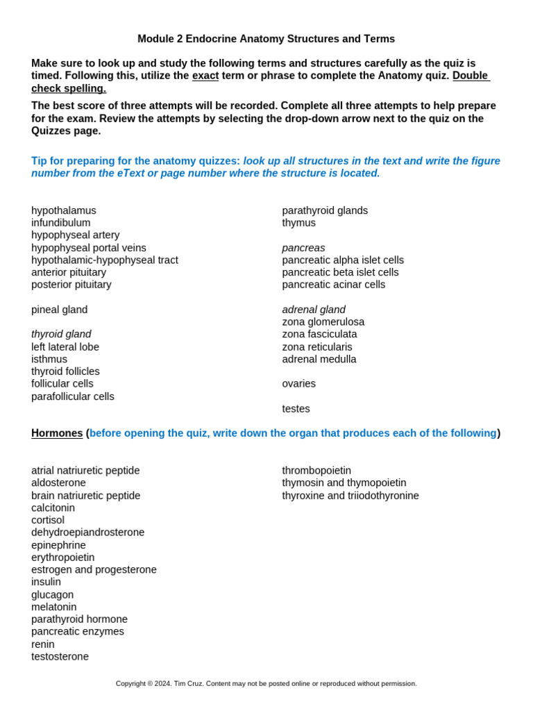 Module 2 Endocrine Anatomy Structures and Terms | PDF | Endocrine ...
