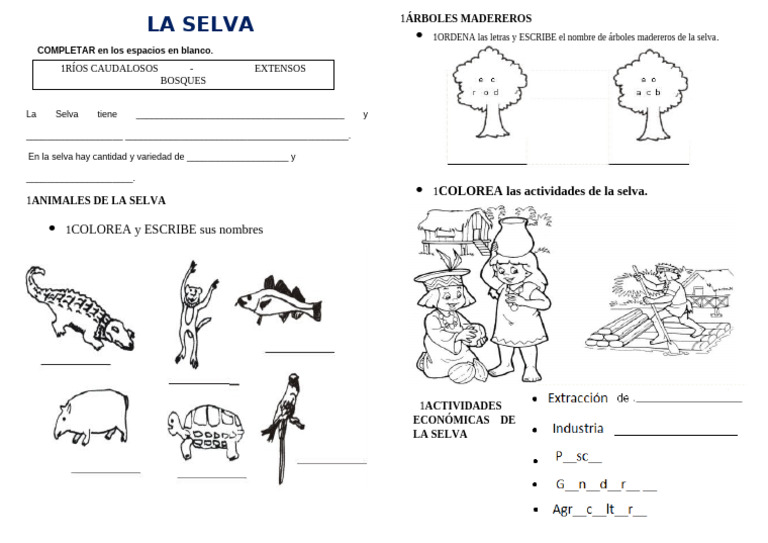 Animales y Recursos de la Selva | PDF
