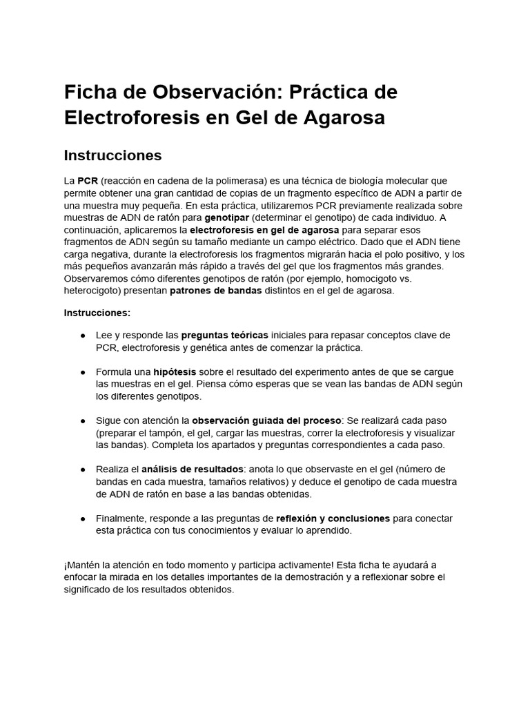 Ficha de Observación Electroforesis | PDF | Reacción en cadena de la polimerasa | Cigosidad