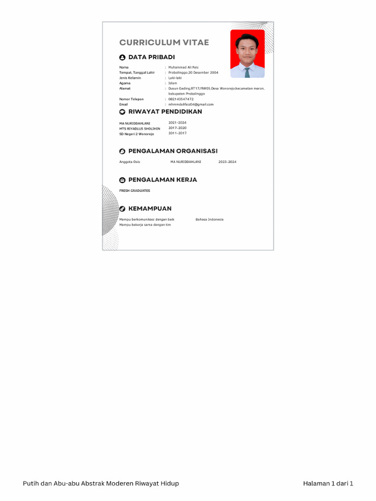 CV Muhammad Ali Faiz | PDF