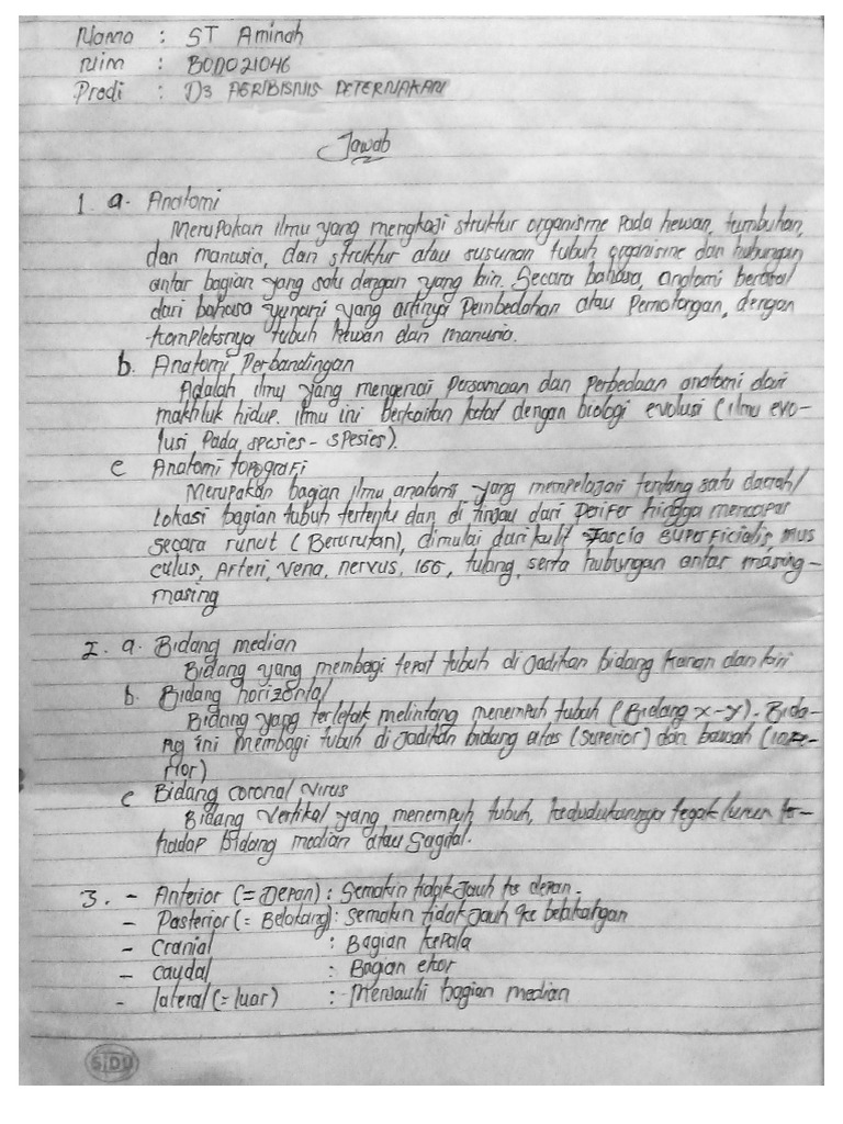 Tugas 1 Anatomi d3 | PDF