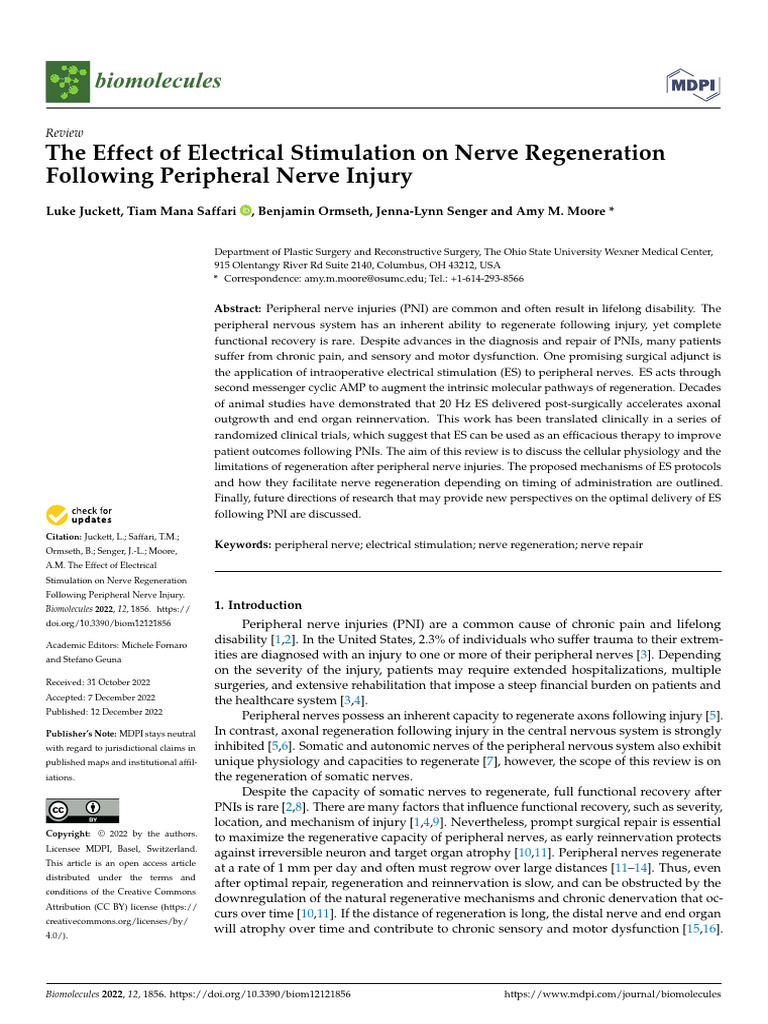 The Effect of Electrical Stimulation On Nerve Regeneration Folllowing ...