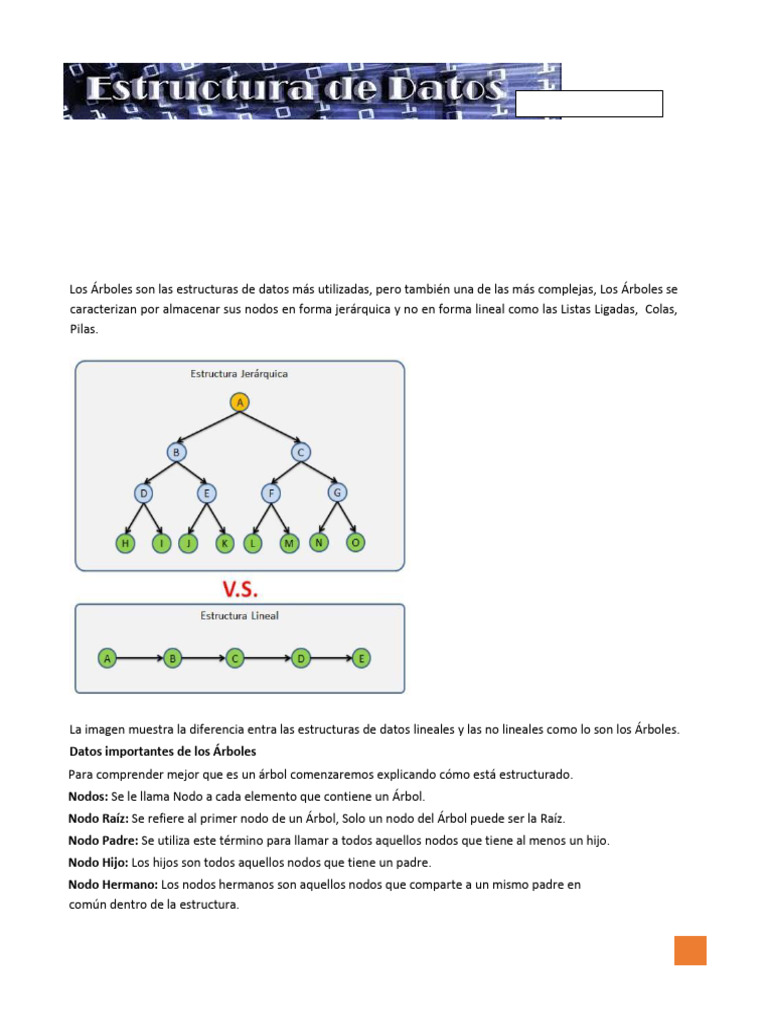 EstructuradeDatos Cap 4 | PDF | Algoritmos y Estructuras de Datos