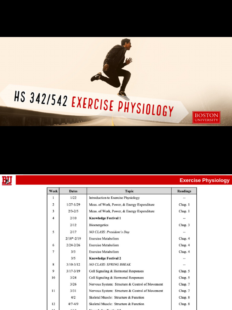 Lecture 15 Chapter 5 SP25 | PDF | Motor Neuron | Nervous System
