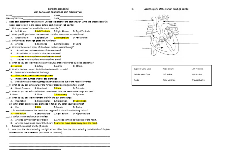 QUIZ-2-GAS-EXCHANGE-TRANSPORT-AND-CIRCULATION | PDF | Heart | Atrium ...
