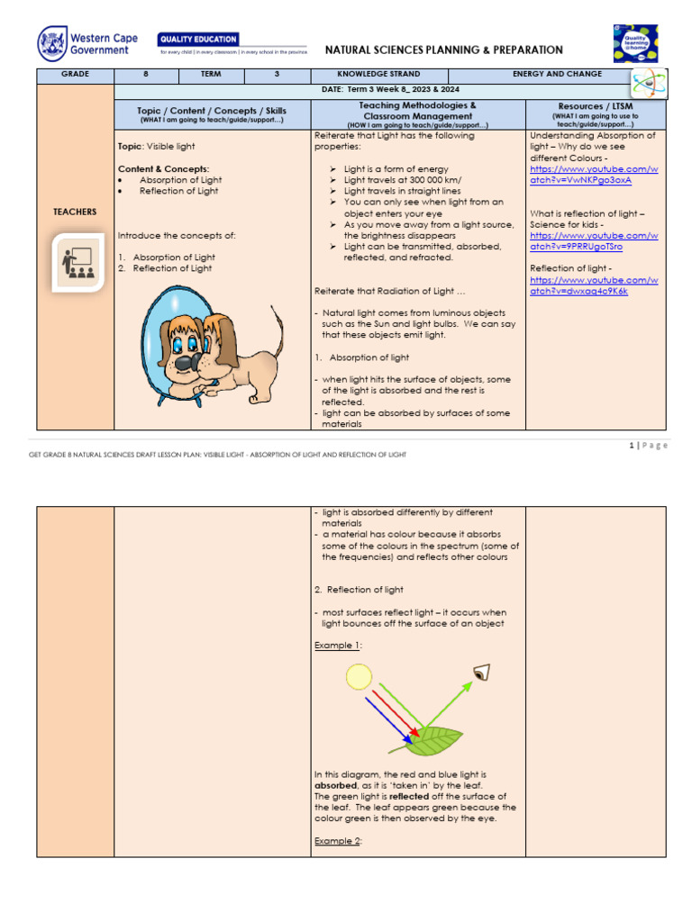 Grade 8 Lesson Plan: Light Absorption & Reflection | PDF | Reflection ...