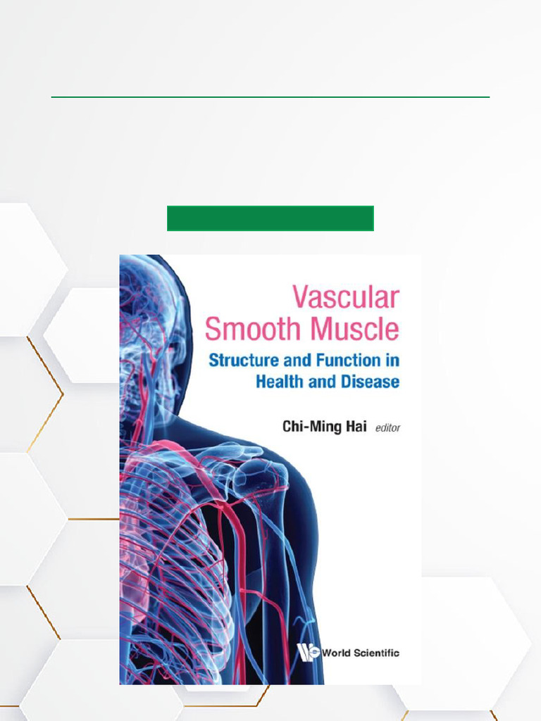 VASCULAR SMOOTH MUSCLE Structure and Function in Health and Disease PDF ...