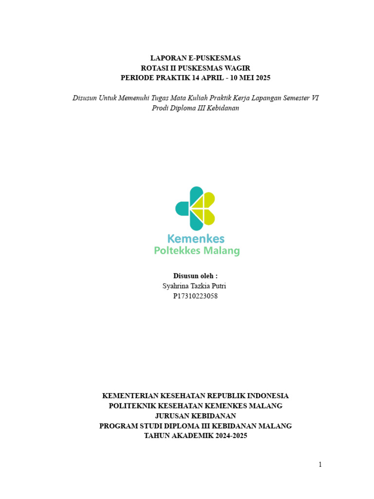 Laporan E-Puskesmas PKM Wagir | PDF