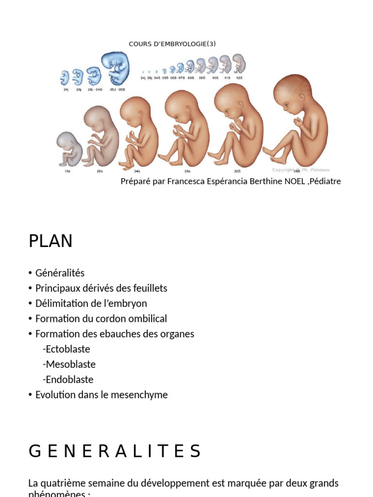 Cours 3 Embryo | PDF | Morphologie (Biologie) | Biologie du développement