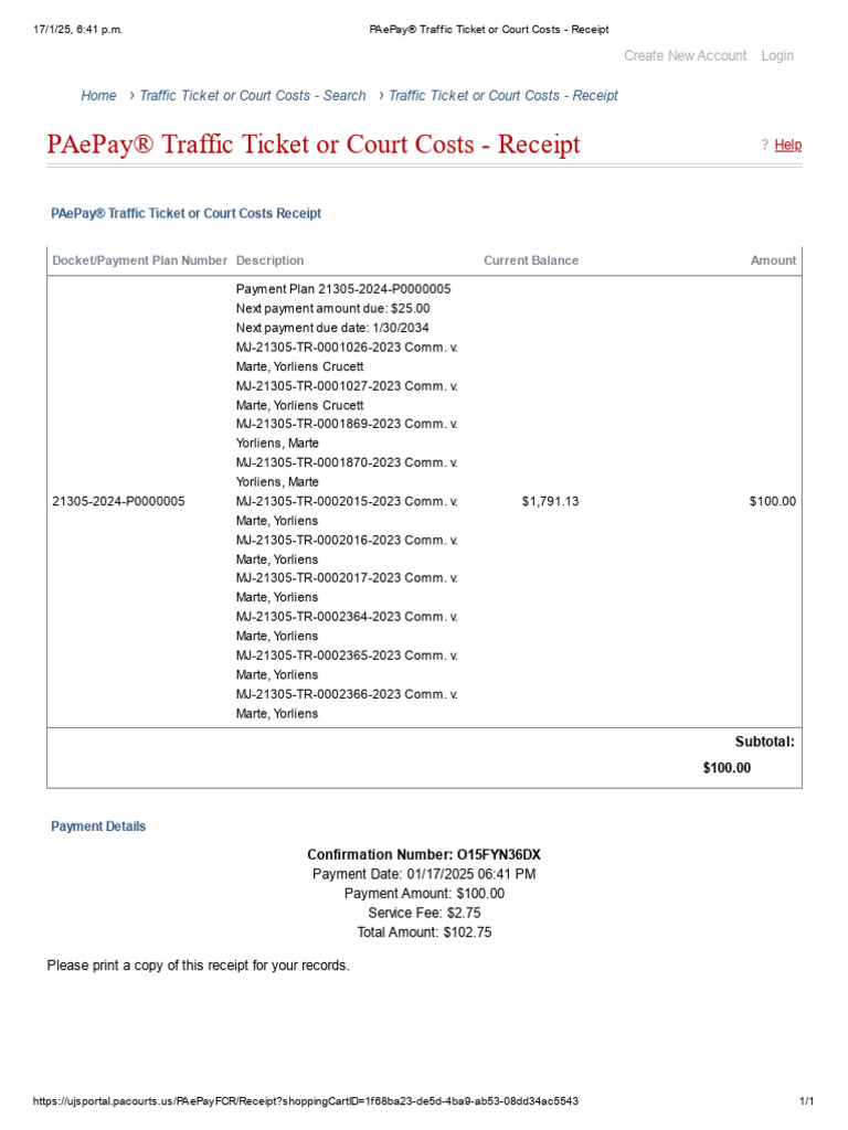 PAePay® Traffic Ticket or Court Costs - Receipt006.1 | PDF | Receipt ...