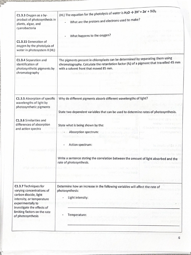 Content Copy-Pages-2 | PDF
