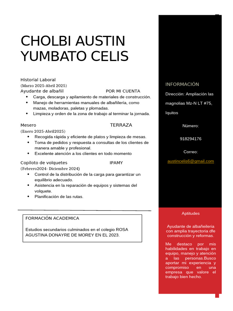 Currículum de Cholbi Austin: Experiencia Laboral | PDF