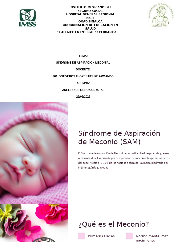 Sindrome de Aspiracion de Meconio SAM | PDF | Pulmón | Parto