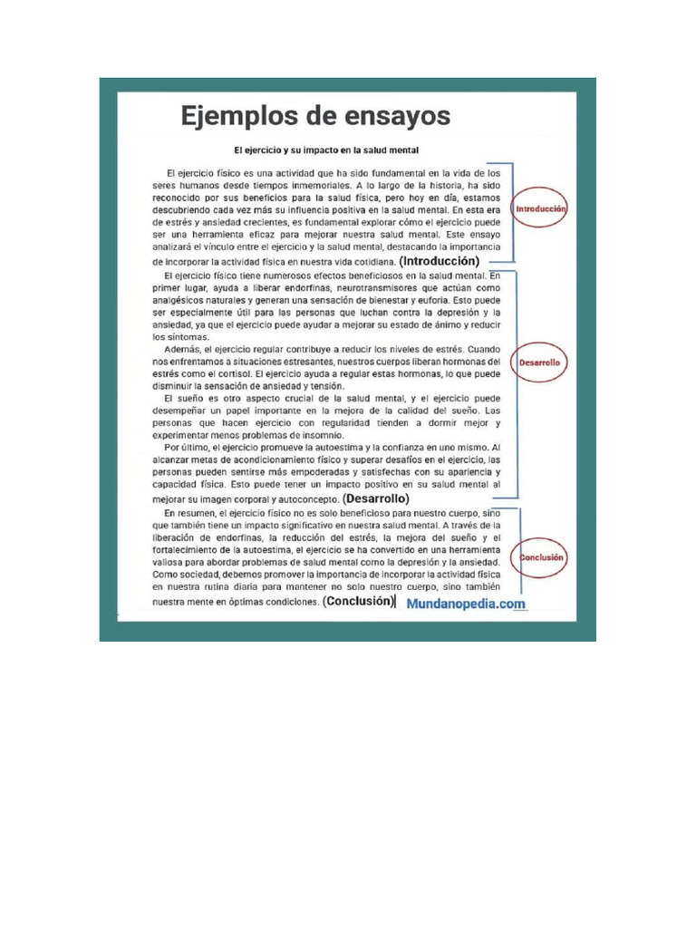 EJEMPLO DE UN ENSAYO | PDF