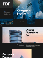 Wardiere Inc.: Consulting & Innovation | PDF | Audit | Consultant