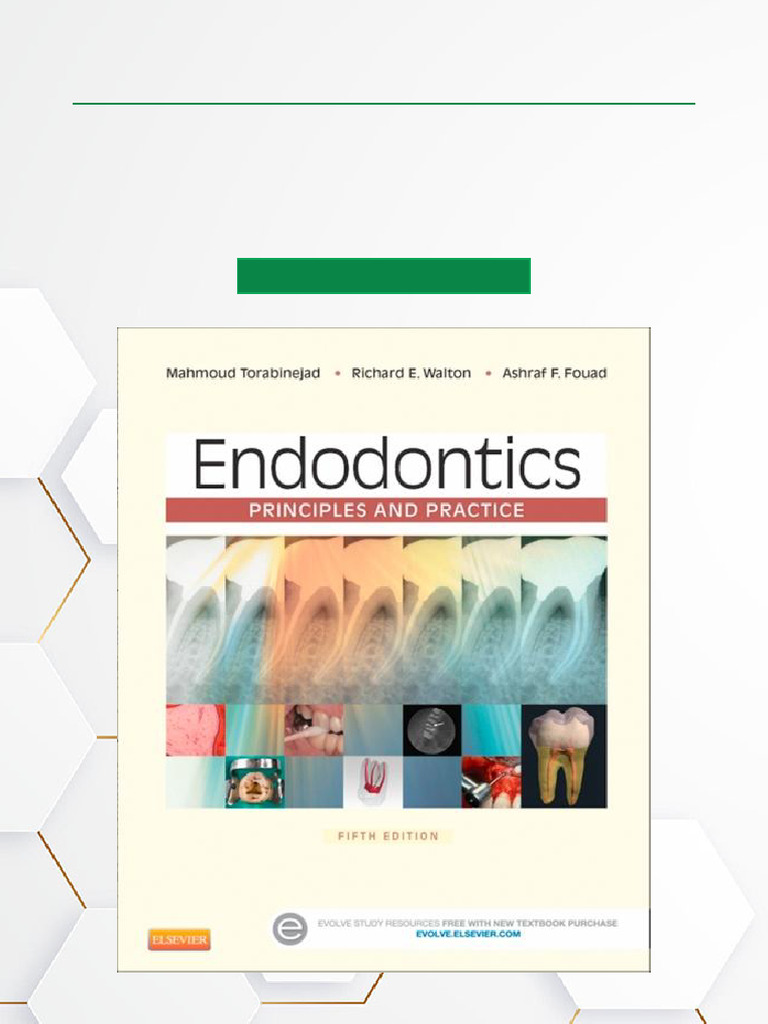 Endodontics Principles and Practice - 5th Edition Full Text Download | PDF | Dentin | Human Tooth