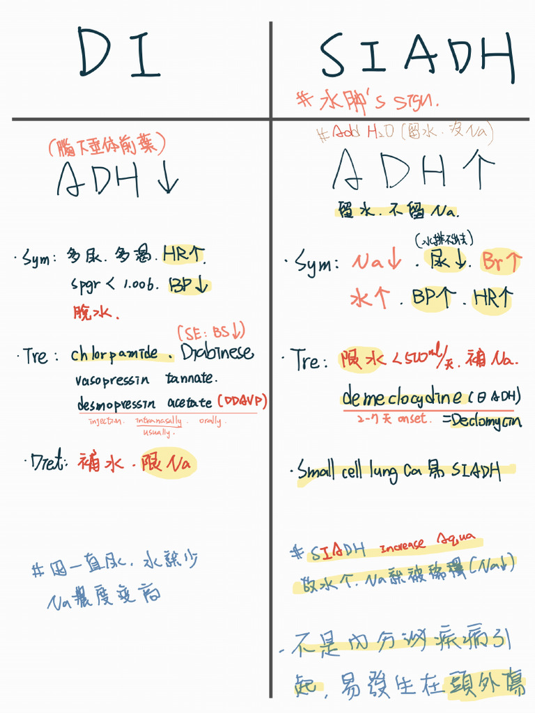 Di VS Siadh - 230507 - 175820 | PDF
