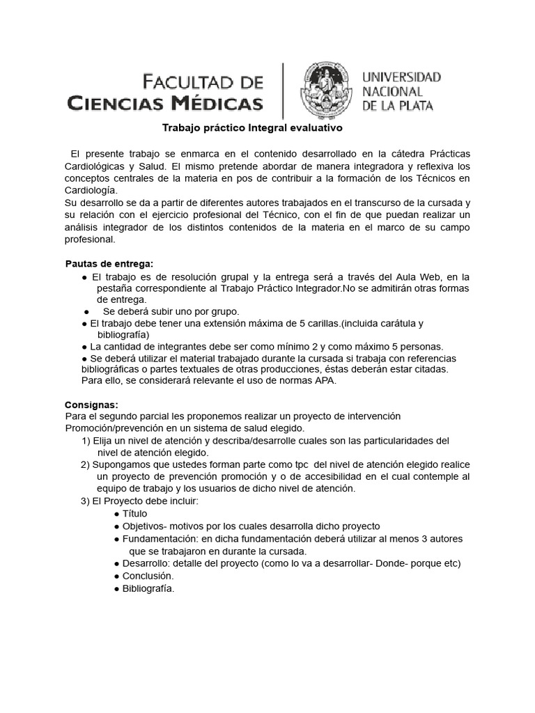 Trabajo Práctico Integral Evaluativo TPC 2025 | PDF