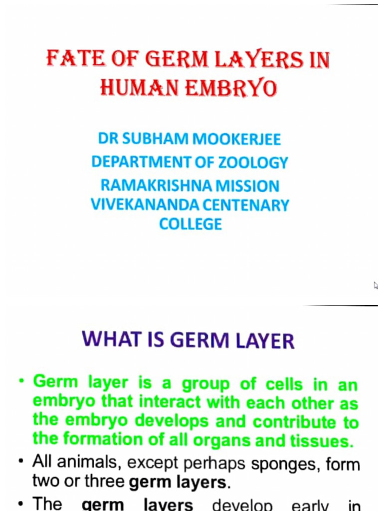 Germ Layer (SBM) | PDF