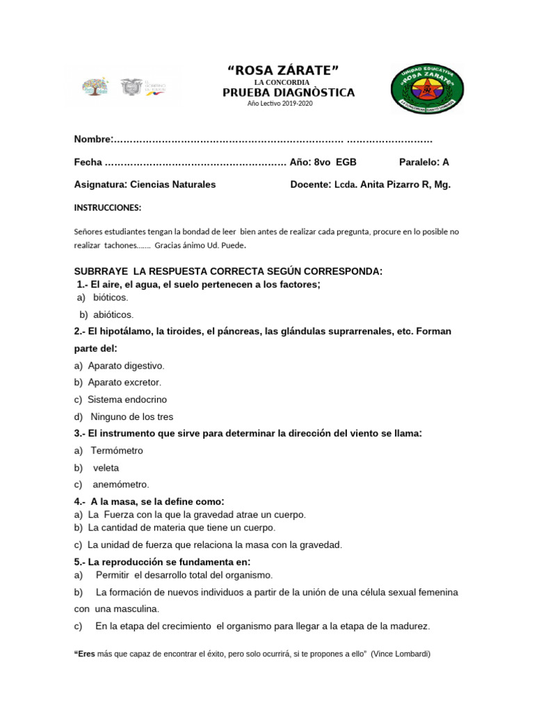 PRUEBA DIAGNÓSTICA CCNN 8VO | PDF | Biología | Anatomía