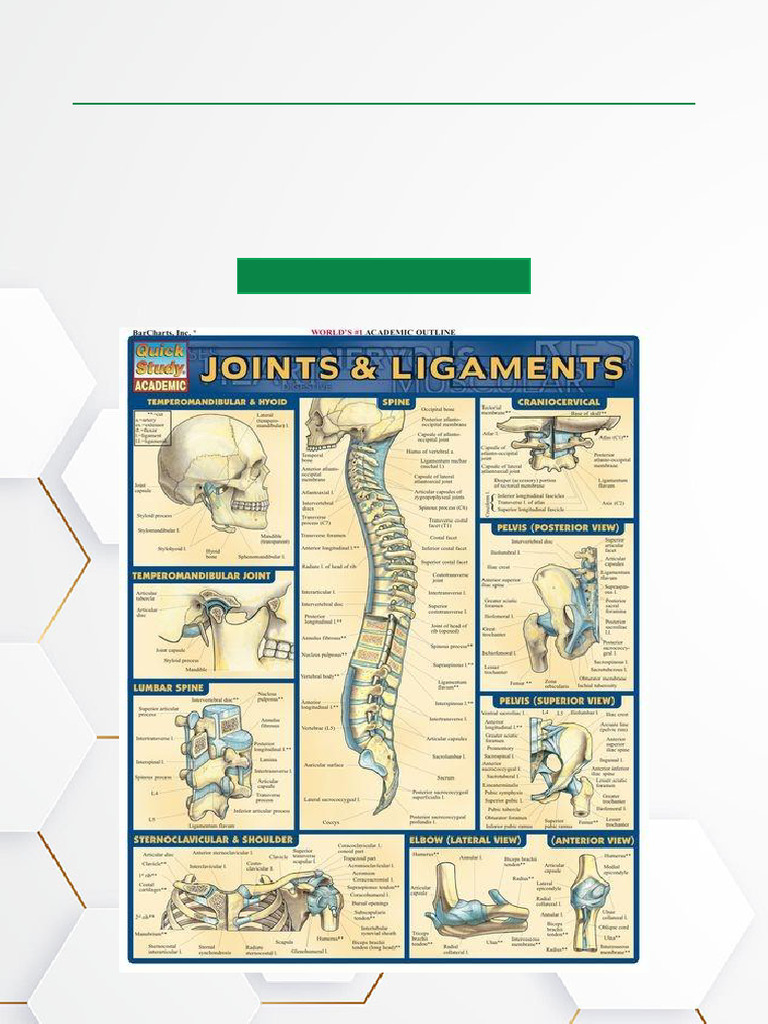 Joints & Ligaments, 1st Edition New Edition PDF | PDF | Vertebra | Pelvis