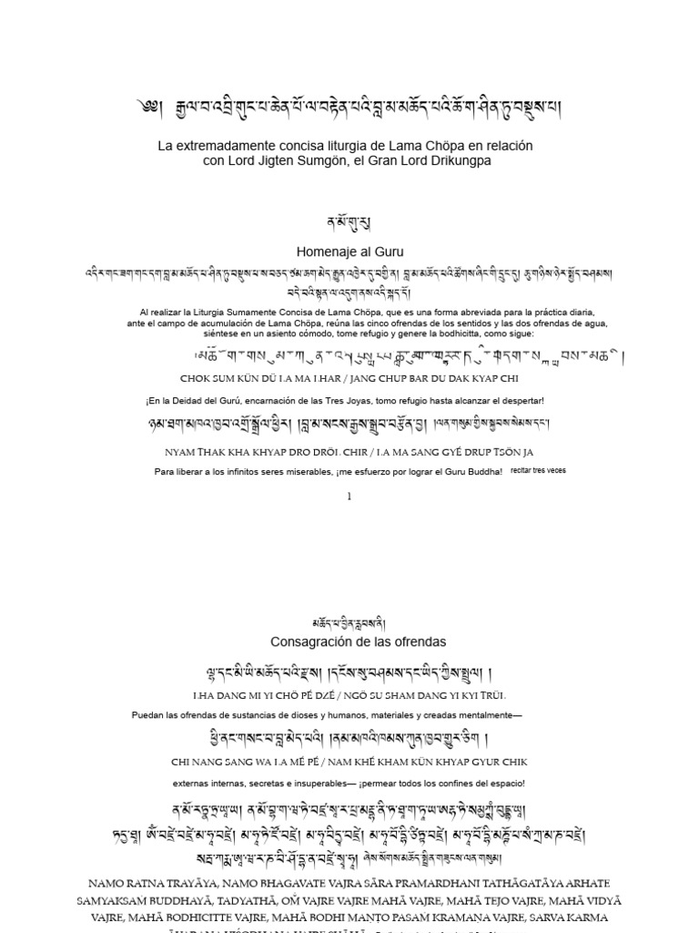 Lama Chopa 2021 Esp | PDF