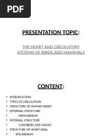 Anatomy and Functions of Pig Heart | PDF | Heart Valve | Heart