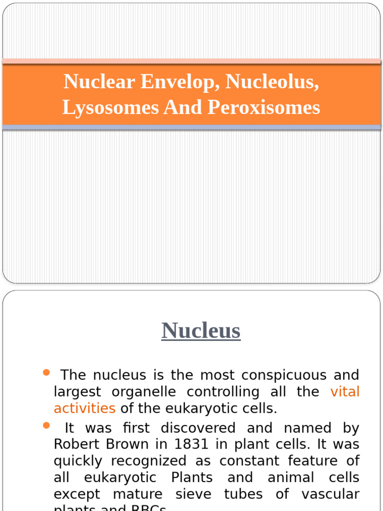 Nuclear Envelop, Nucleolus, Lysosomes and Peroxisomes | PDF | Cell ...