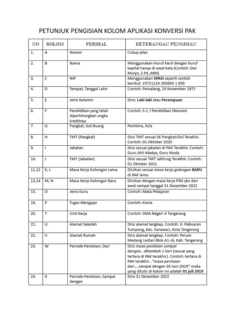 Petunjuk Pengisian Kolom Aplikasi Konversi Pak | PDF