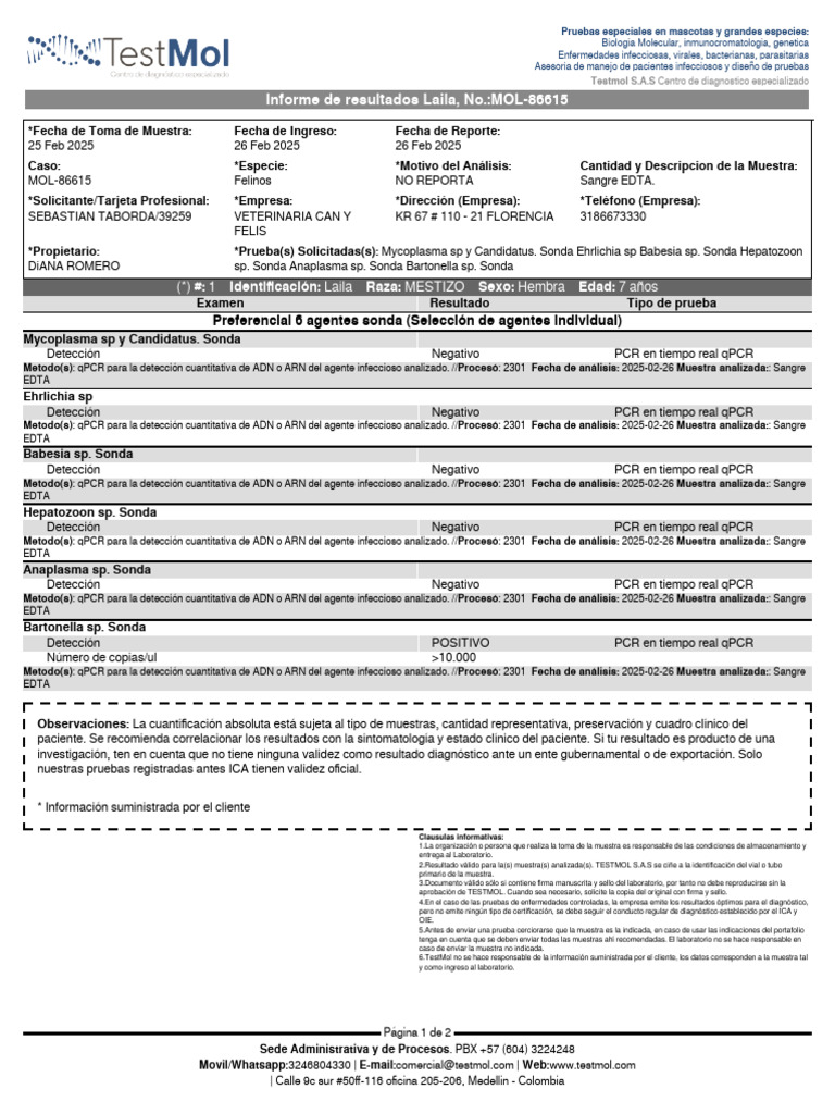 Informe de Resultados MOL86615_2025-02!27!10-42_am | PDF | Reacción en ...