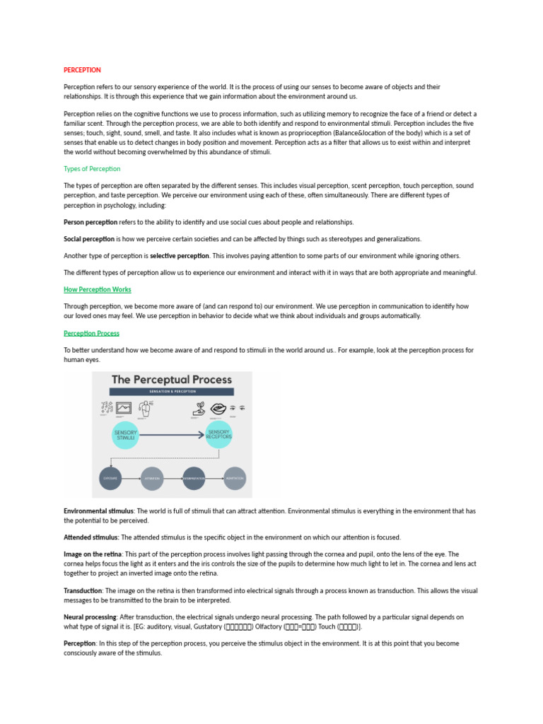 Human Perception-Psychology | PDF | Perception | Senses