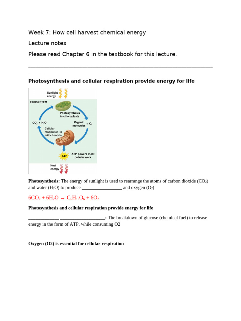 Week 7 How Cell Harvest Chemical Energy Notes | PDF | Adenosine ...