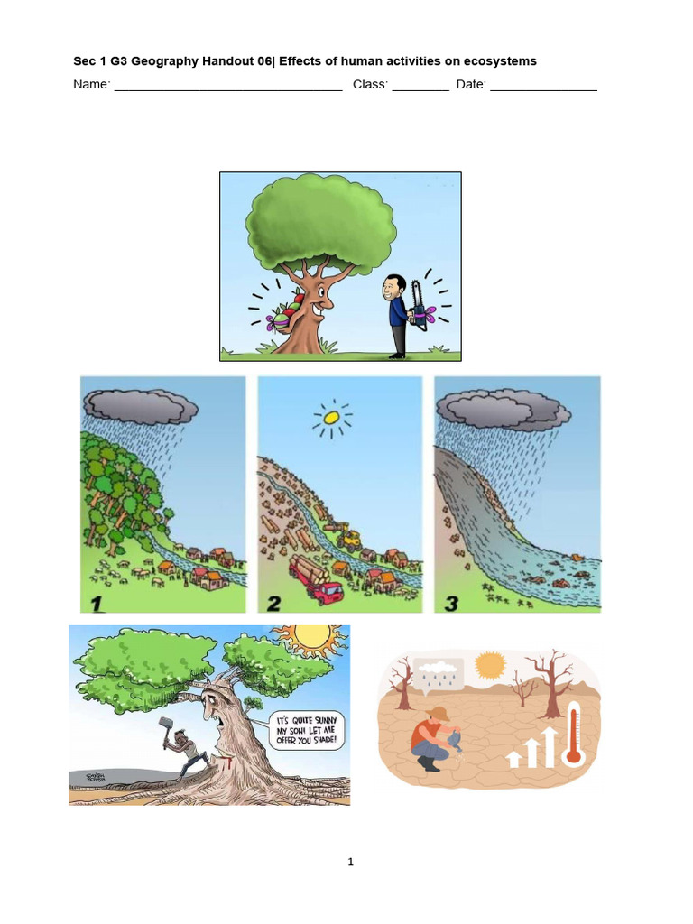 Effects of Human Activites On Ecosystems | PDF | Ecosystem | Greenhouse Gas