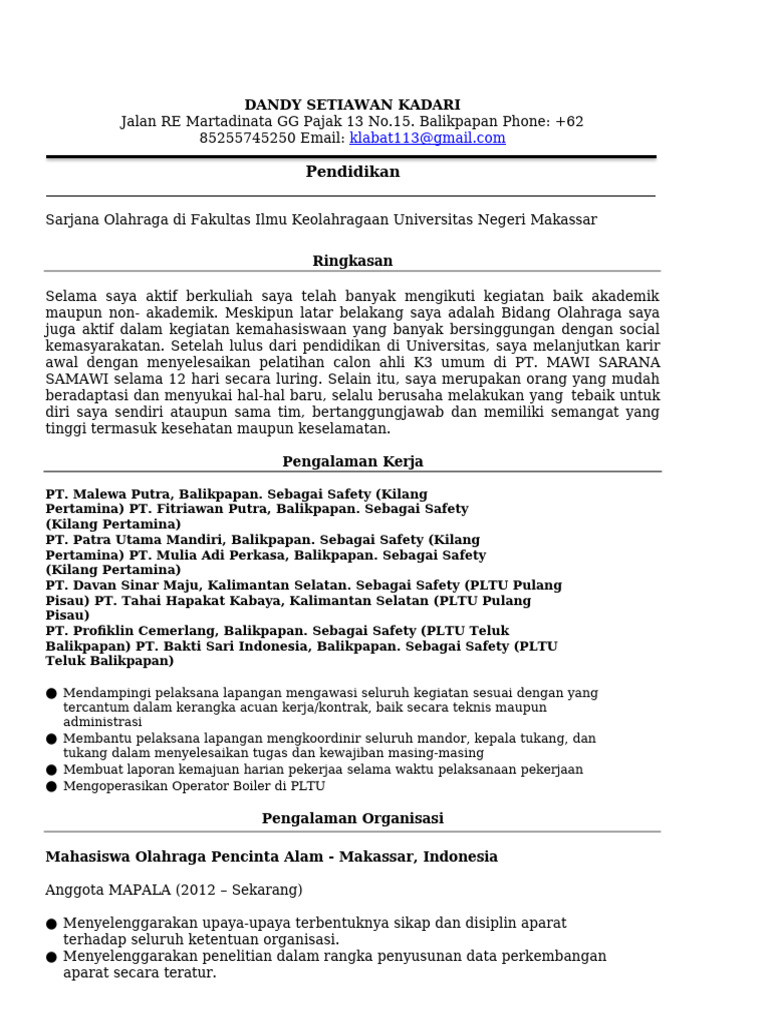 CV DANDI FINAL1,6 - Compressed | PDF