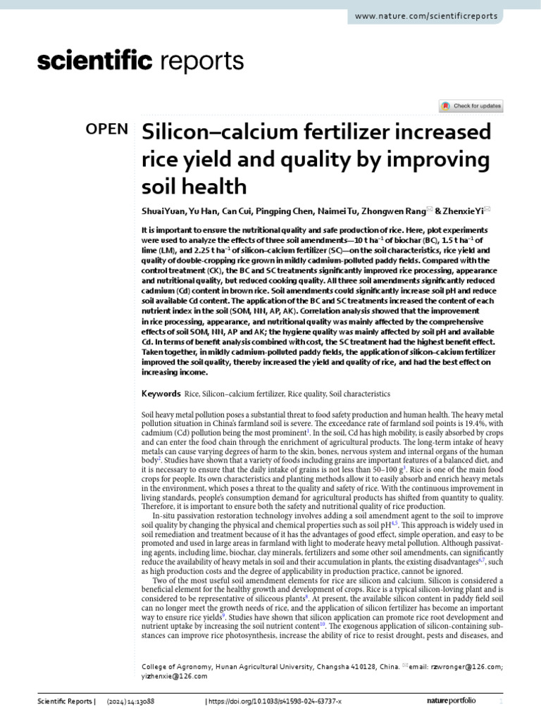 2024 Yuan - Rice + Yield + Quality + Soil Health | PDF | Soil | Rice