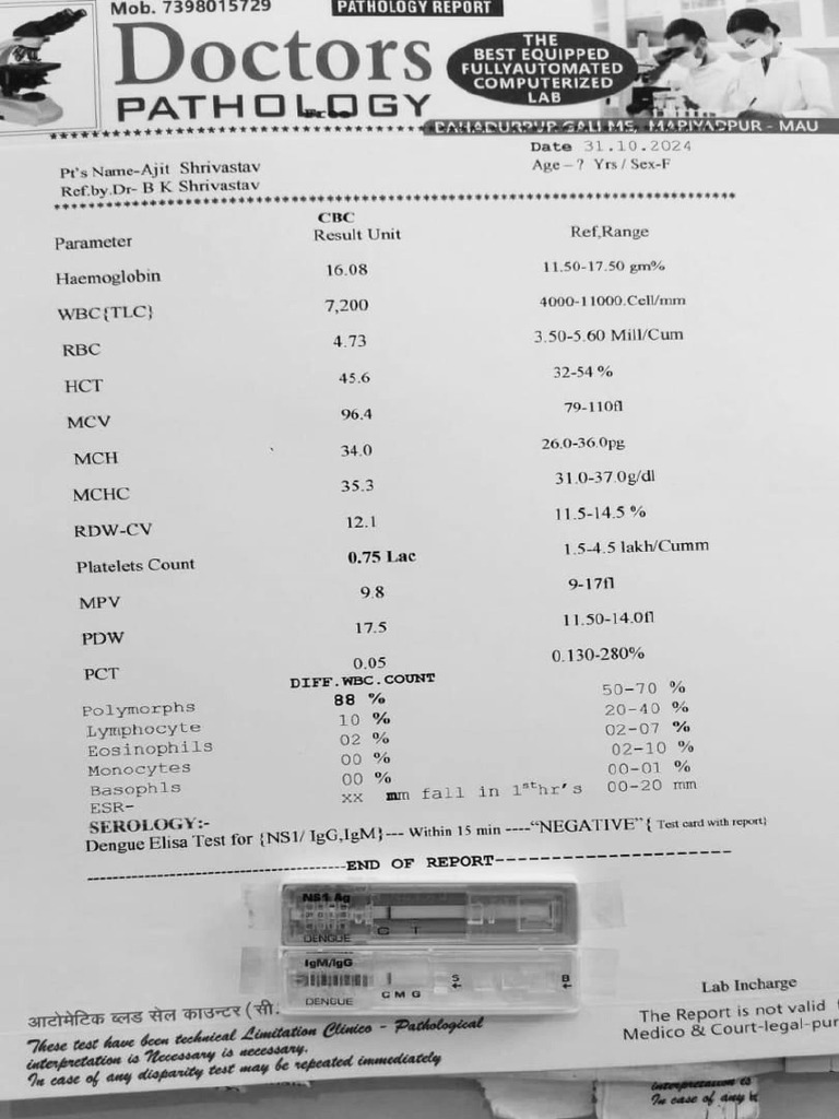 Dengu | PDF