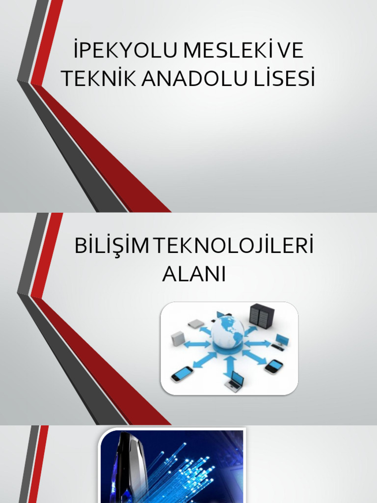 09125228_bilisim_teknolojileri_alan_tanitimi | PDF