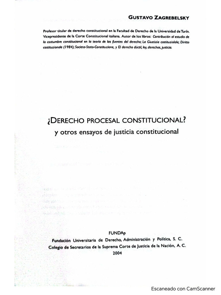 ¿Derecho procesal constitucional? Gustavo Zagrebelsky | PDF