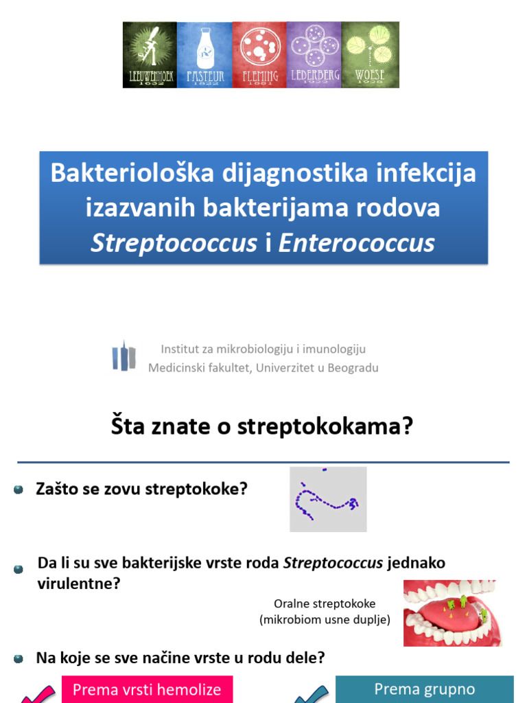 Vezba 5a - DG Streptococcus I Enterococcus | PDF