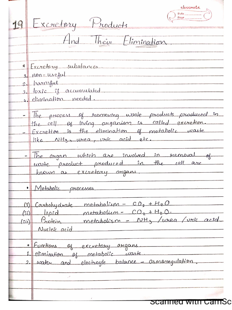 Excretory system notes for neet | PDF