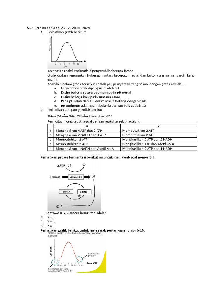 Soal PTS Biologi Kelas 12 Ganjil 2024 | PDF