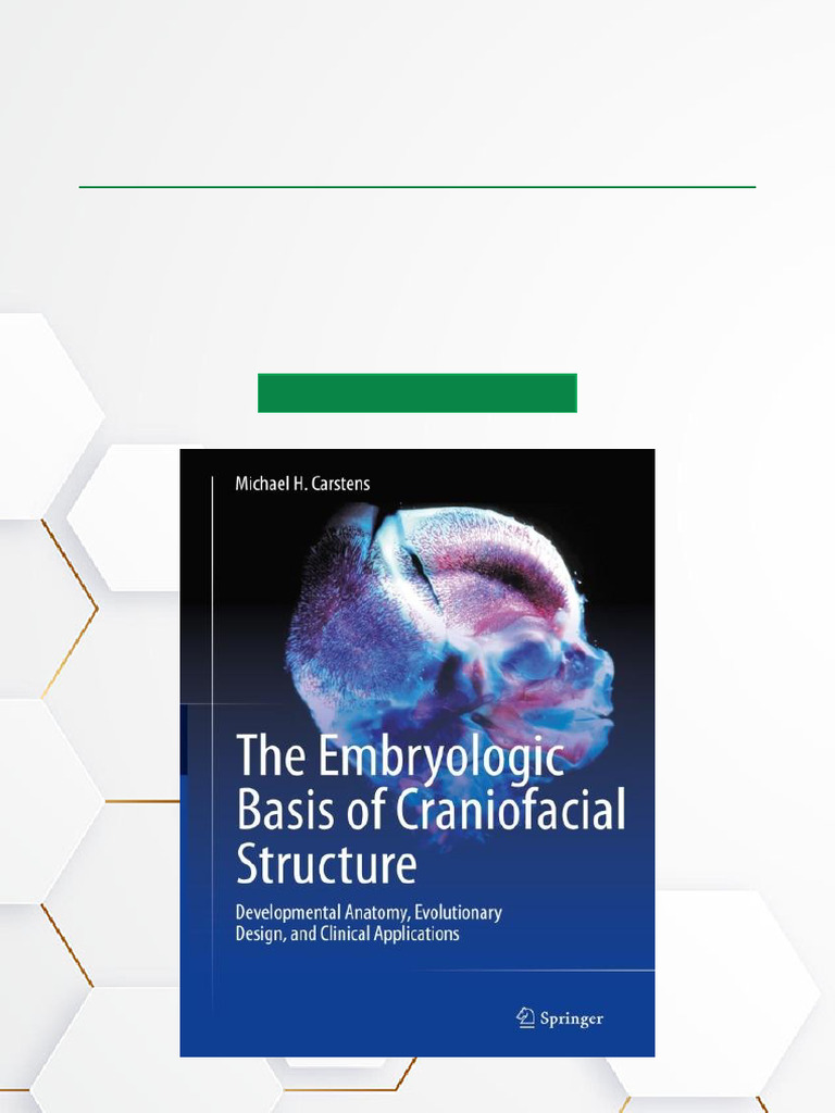 Embryology of Craniofacial Structures | PDF | Mesenchymal Stem Cell