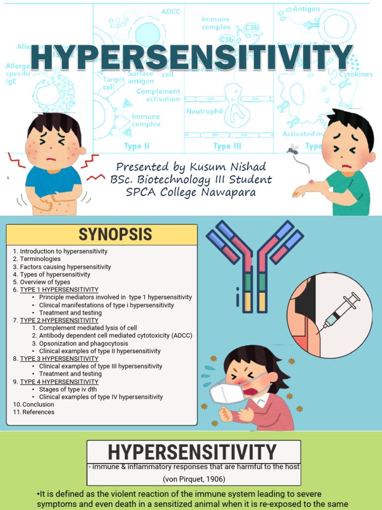 Overview of Hypersensitivity Types | PDF | Allergy | Antibody